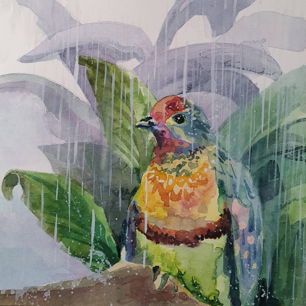 Looking for Rainbows | Alexa Cox Studio